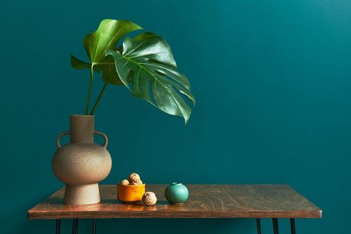 What Colors Go With Teal? - Match Colors That Compliment Teal