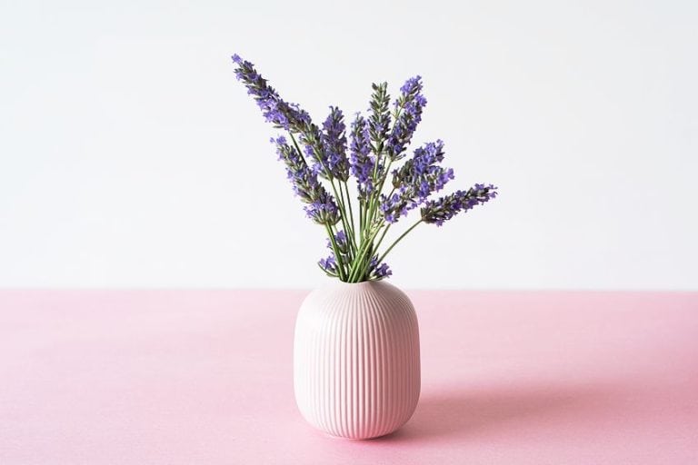 What Color Goes With Cream? - Pairing Colors With Confidence
