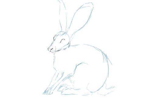 Bunny Drawing – How to Draw a Bunny Step by Step