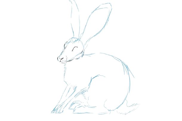 Bunny Drawing – How to Draw a Bunny Step by Step