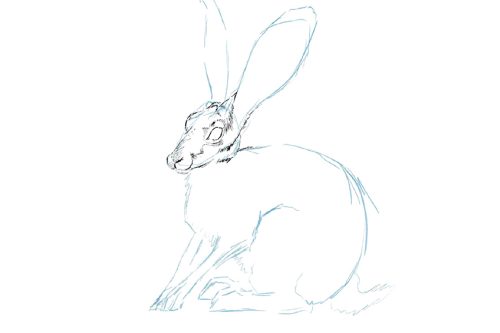 Cómo dibujar un conejito – Tutorial paso a paso