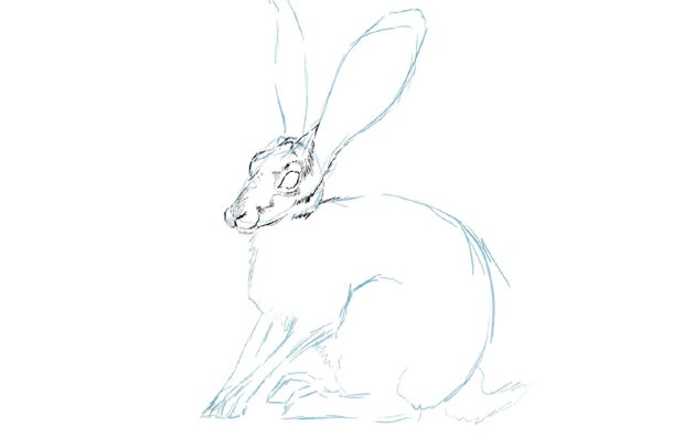 Cómo dibujar un conejito – Tutorial paso a paso
