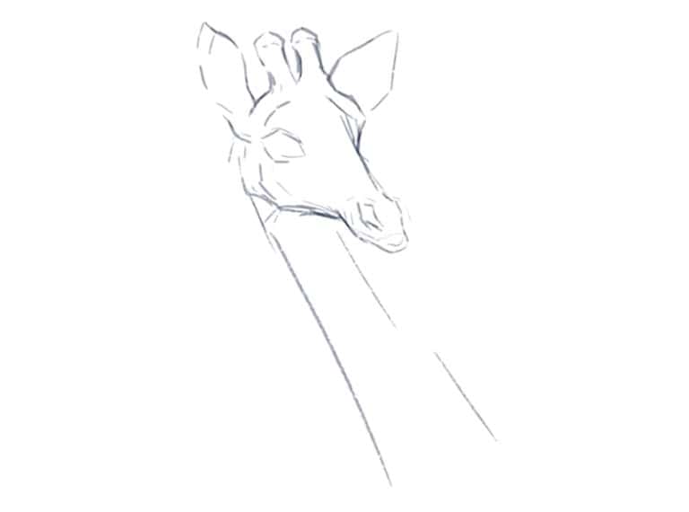 Cómo dibujar una jirafa – Tutorial detallado