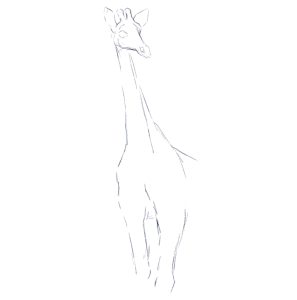 Giraffe Drawing – How to Create this Fantastical Creature