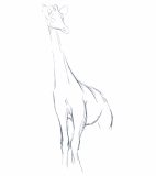 Giraffe Drawing – How to Create this Fantastical Creature