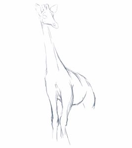 Giraffe Drawing – How to Create this Fantastical Creature