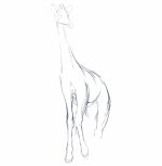 Giraffe Drawing – How to Create this Fantastical Creature