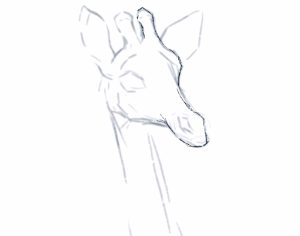 Giraffe Drawing – How to Create this Fantastical Creature