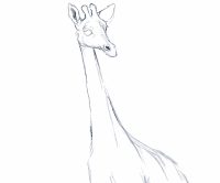 Giraffe Drawing – How to Create this Fantastical Creature