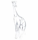 Giraffe Drawing – How to Create this Fantastical Creature