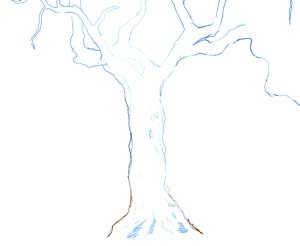 Tree Drawing - An Easy Tutorial for Beginner Artists