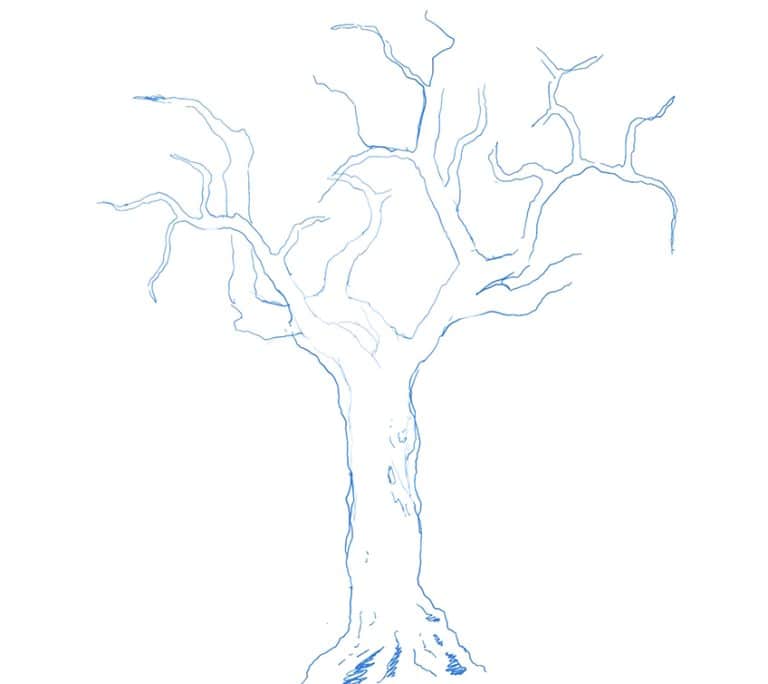 Tree Drawing - An Easy Tutorial for Beginner Artists