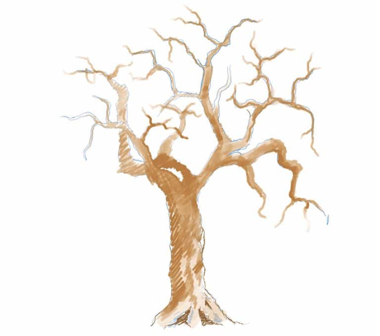 Tree Drawing - An Easy Tutorial for Beginner Artists