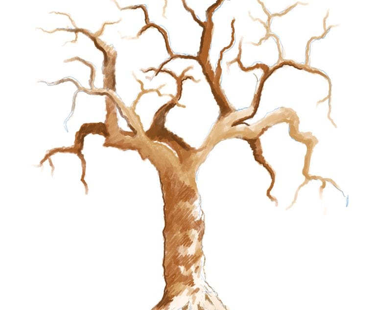 Baum zeichnen - Eine einfache Anleitung