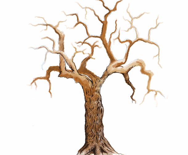 Tree Drawing - An Easy Tutorial for Beginner Artists