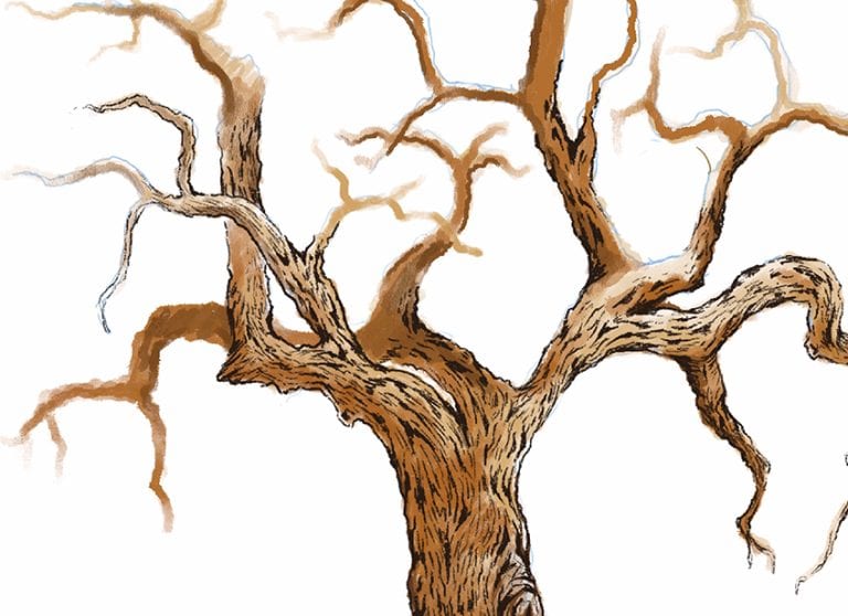 Tree Drawing - An Easy Tutorial for Beginner Artists