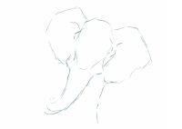 Elephant Drawing – Learn how to Draw a Grey Giant