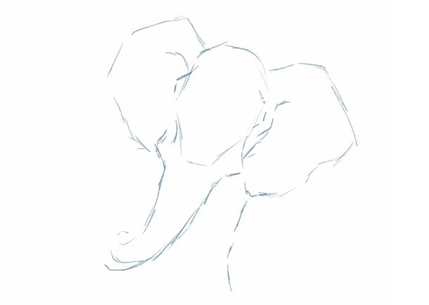 Elephant Drawing – Learn how to Draw a Grey Giant