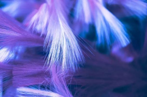Indigo Farbe - Entdecke die Farbnuancen von Blau und Lila