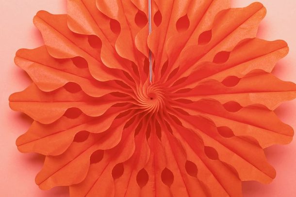 Coral Color - Dive Into the Exciting World of Coral