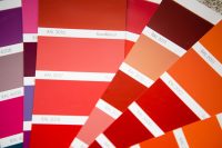 Coral Color - Dive Into the Exciting World of Coral