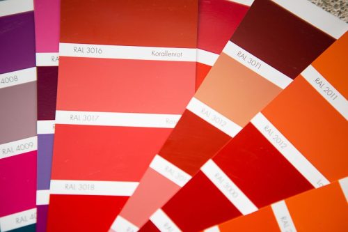 Coral Color - Dive Into the Exciting World of Coral