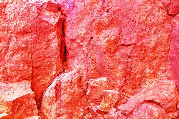 Coral Color - Dive Into the Exciting World of Coral