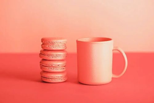 Color rosa - Aprende todo sobre el color de la rosa