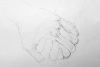 Holding Hands Drawing - A Step-by-Step Beginners Guide