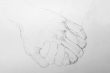 Holding Hands Drawing - A Step-by-Step Beginners Guide