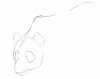 Panda Drawing - A Realistic Step-by-Step Drawing Tutorial