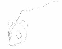 Panda Drawing - A Realistic Step-by-Step Drawing Tutorial