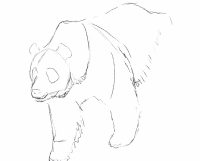 Panda Drawing - A Realistic Step-by-Step Drawing Tutorial