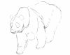 Panda Drawing - A Realistic Step-by-Step Drawing Tutorial