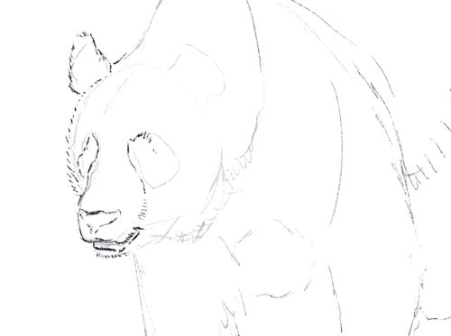 Panda Drawing - A Realistic Step-by-Step Drawing Tutorial