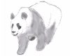 Panda Drawing - A Realistic Step-by-Step Drawing Tutorial