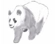 Panda Drawing - A Realistic Step-by-Step Drawing Tutorial