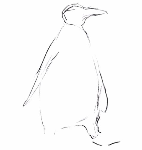 Penguin Drawing - A Realistic Step-by-Step Drawing Tutorial