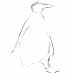 Penguin Drawing - A Realistic Step-by-Step Drawing Tutorial