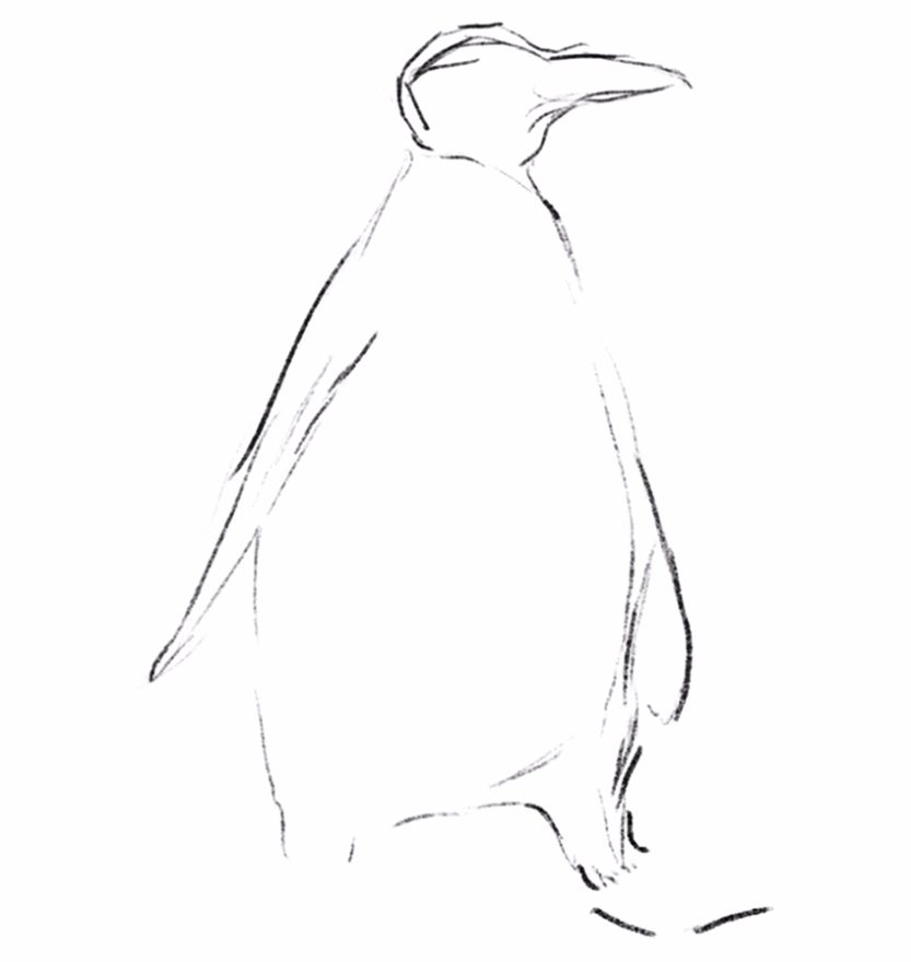 Penguin Drawing - A Realistic Step-by-Step Drawing Tutorial