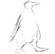Penguin Drawing - A Realistic Step-by-Step Drawing Tutorial