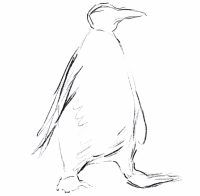 Penguin Drawing - A Realistic Step-by-Step Drawing Tutorial