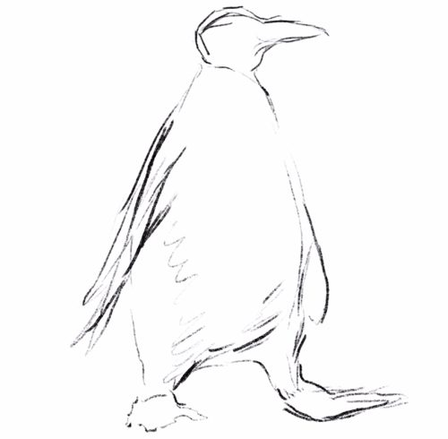 Penguin Drawing - A Realistic Step-by-Step Drawing Tutorial