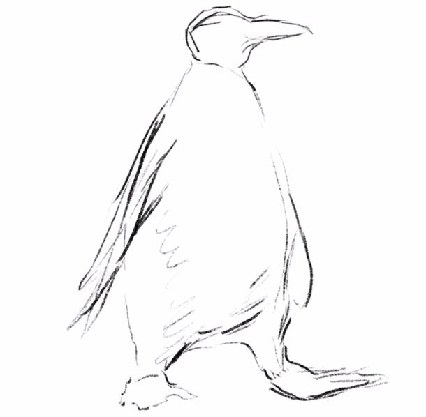 Penguin Drawing - A Realistic Step-by-Step Drawing Tutorial