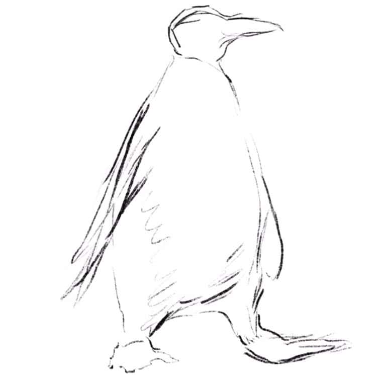 Penguin Drawing - A Realistic Step-by-Step Drawing Tutorial