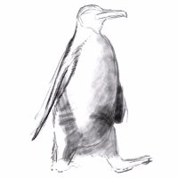 Penguin Drawing - A Realistic Step-by-Step Drawing Tutorial