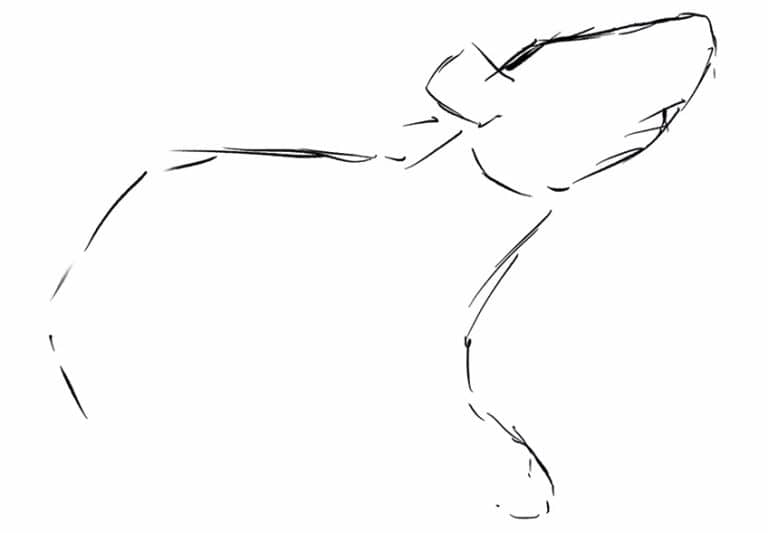 Rat Drawing - Learn How to Draw a Rat in Five Easy Steps