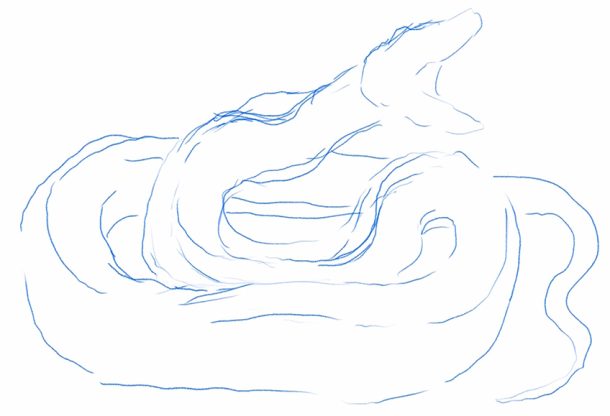 Snake Drawing - An Easy Guide to a Realistically-Shaped Snake