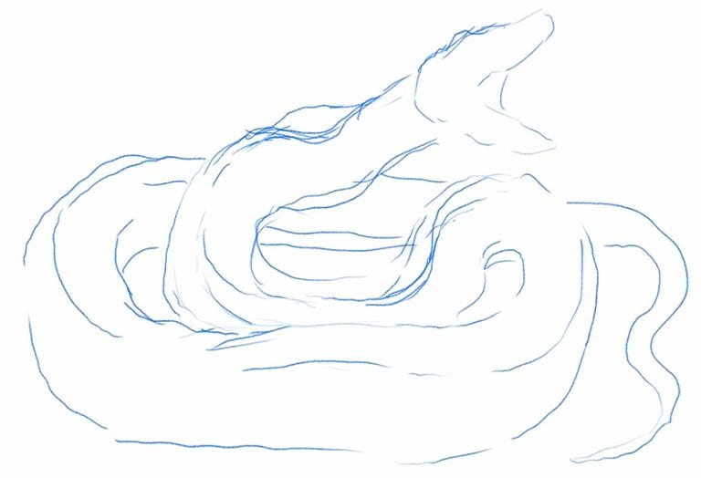 Snake Drawing - An Easy Guide to a Realistically-Shaped Snake