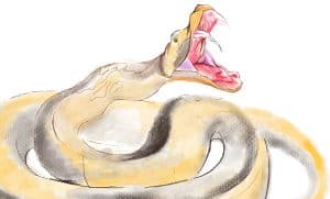 Snake Drawing - An Easy Guide to a Realistically-Shaped Snake